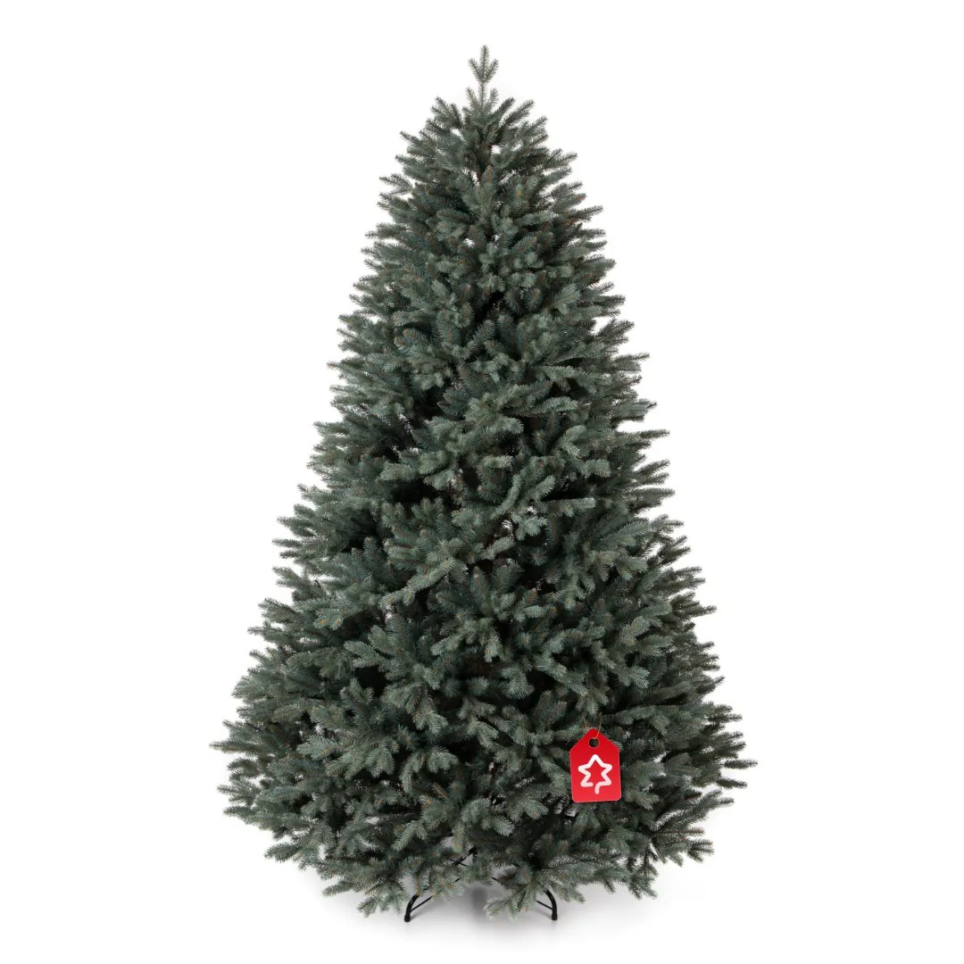 Srebrna smreka 220 cm | BozicnoDrevo.si